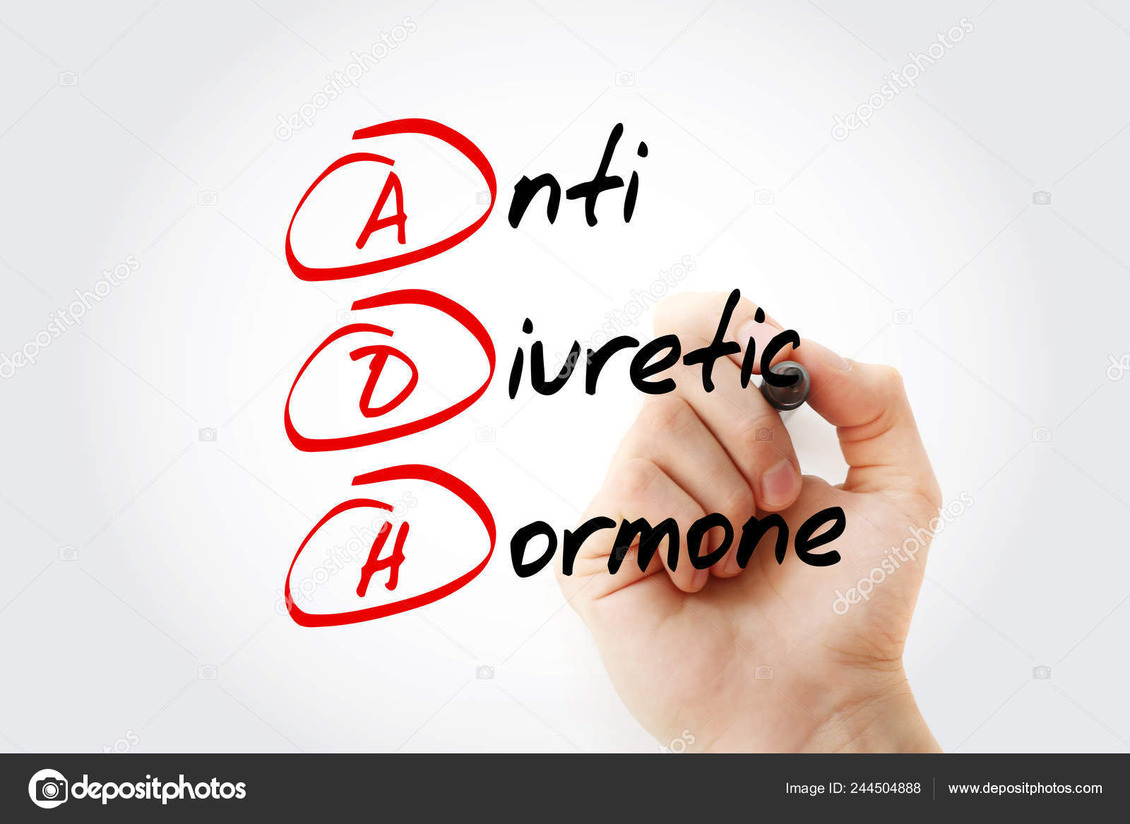 Adh Antidiuretic Hormone Acronym Marker Concept Background Stock Photo ...