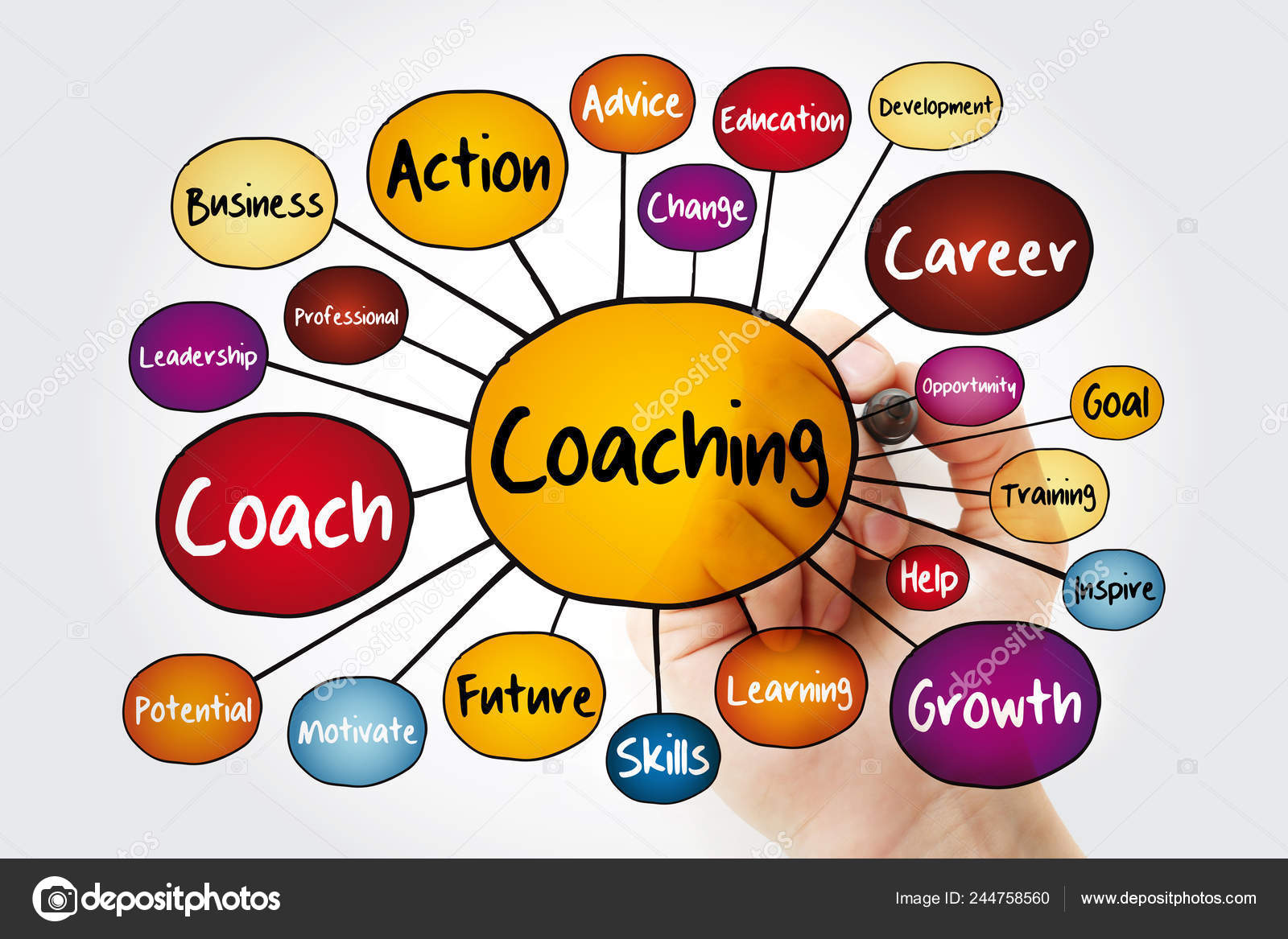 Coaching Diagrama Flujo Mapas Mentales Con Marcador Concepto Negocio Para: fotografía de stock ...