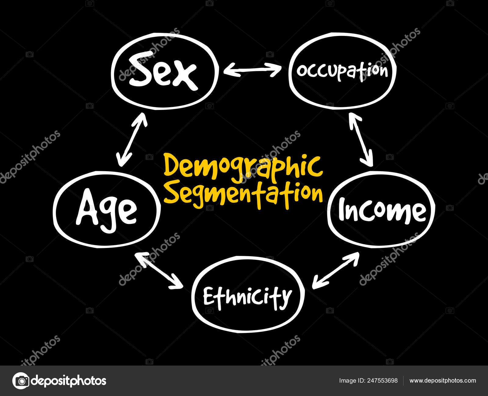 Demographic segmentation mind map Stock Vector by ©dizanna 247553698