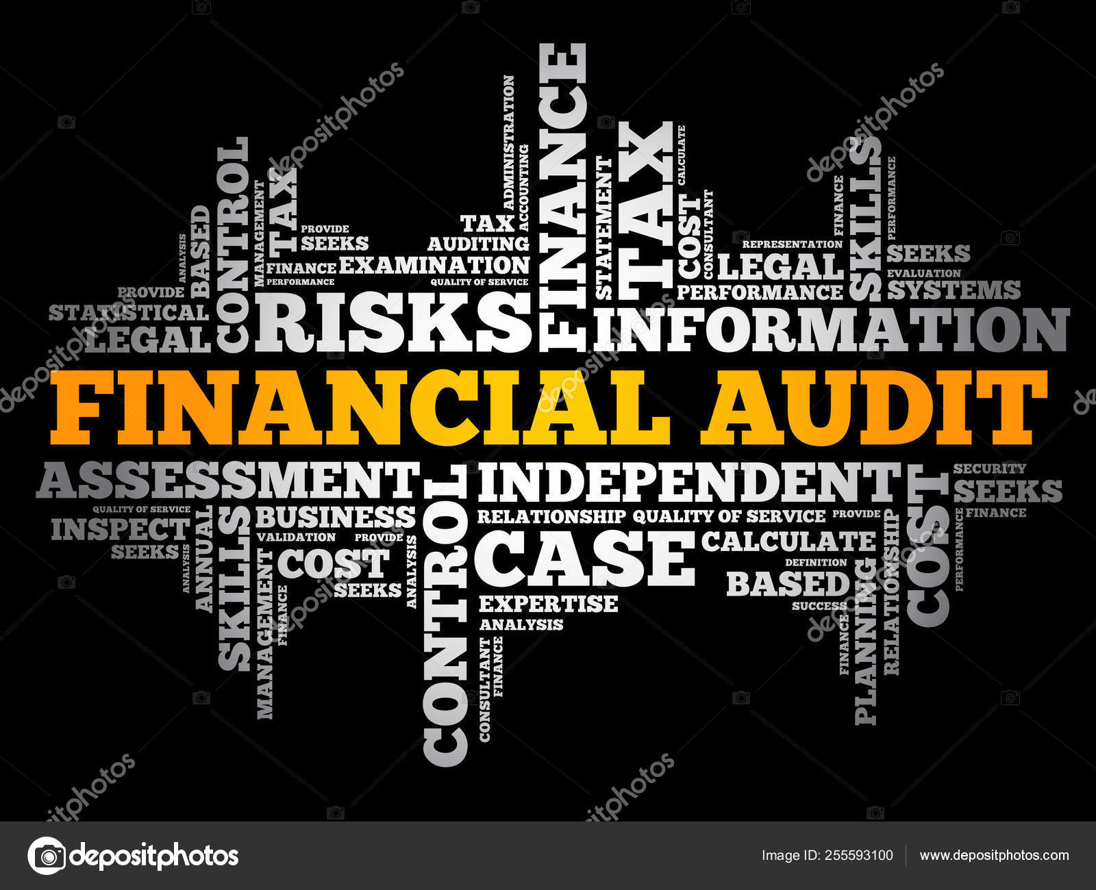 Financial Audit word cloud collage Stock Vector by ©dizanna 255593100