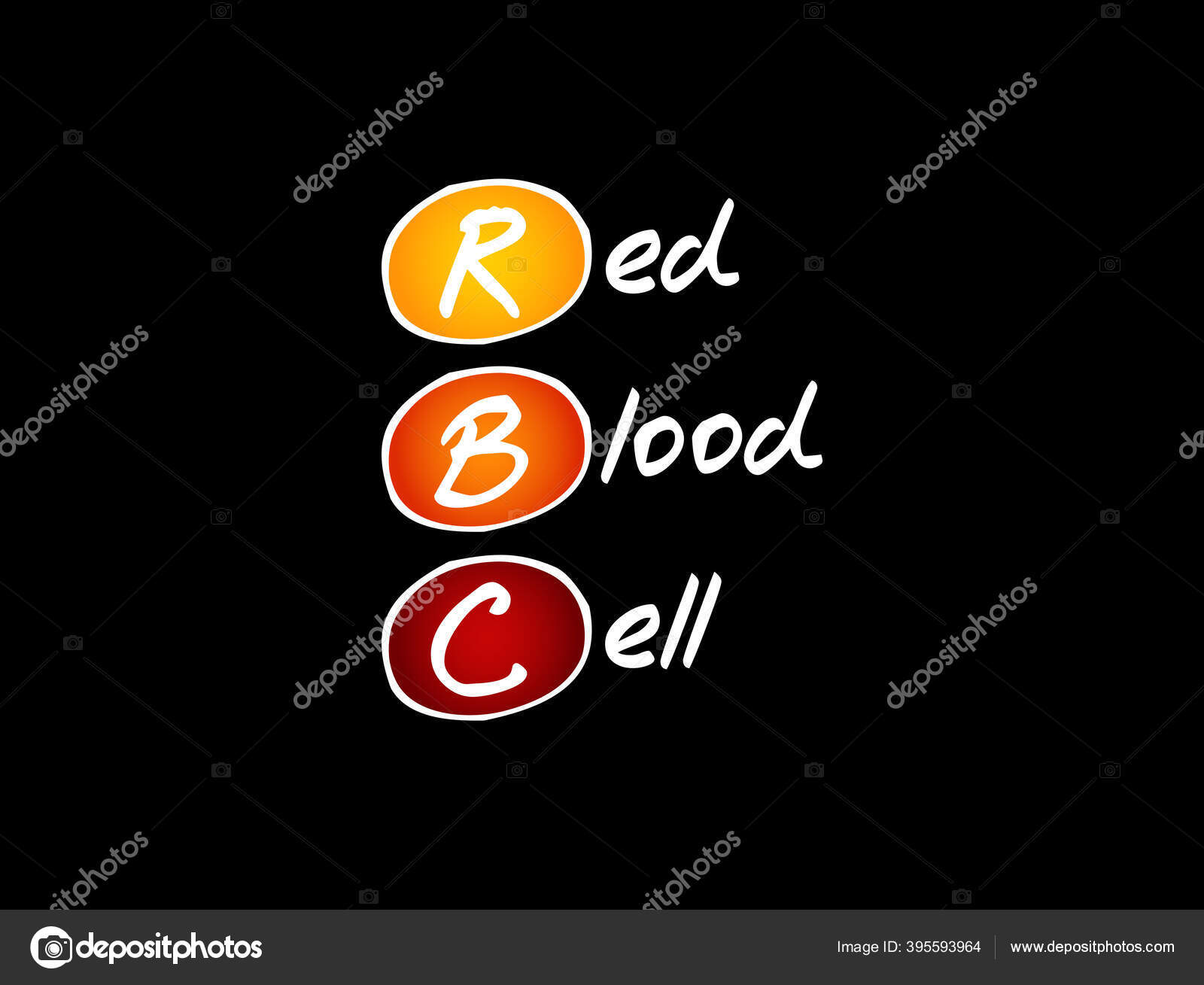 Rbc Red Blood Cell Acronym Medical Concept Background Stock Vector ...