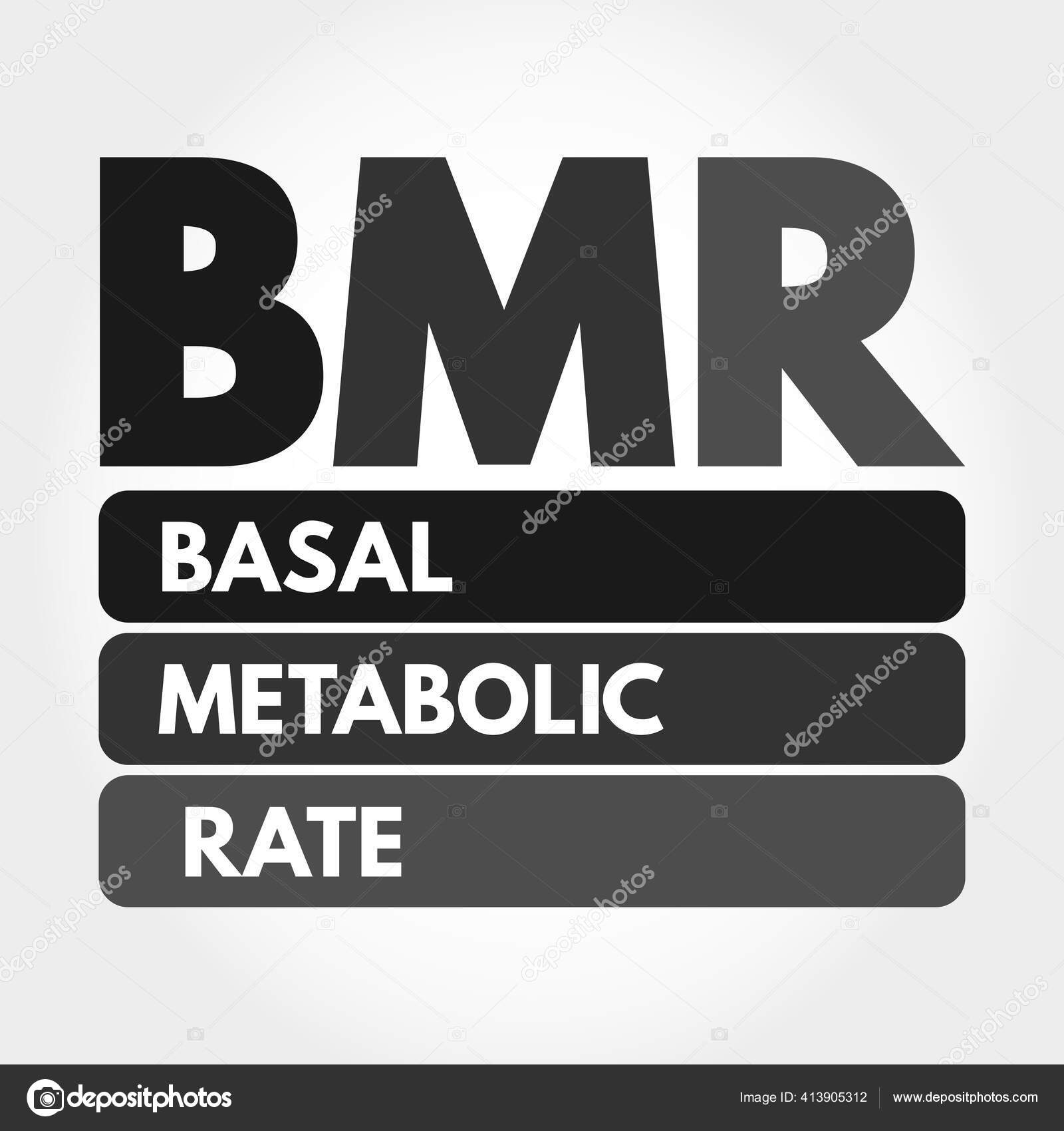 Bmr Basal Metabolic Rate Acronym Concept Background Stock Vector Image ...
