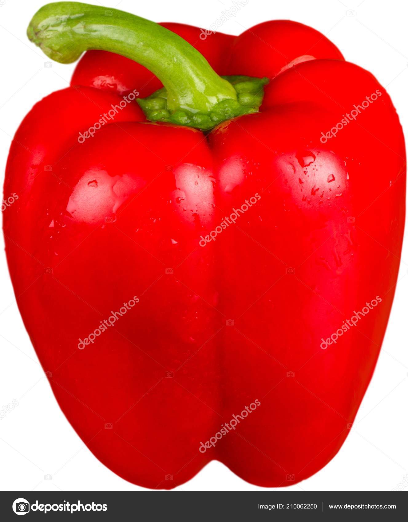 Pepper Red Bell Pepper Vegetable Bell Pepper Fruit Capsicum Red — Stock ...