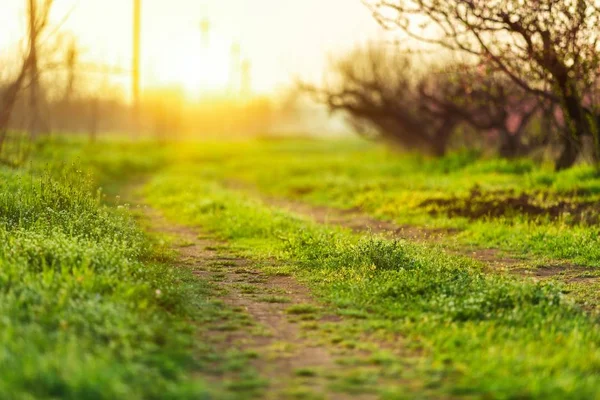 Landscape pathway Images - Search Images on Everypixel