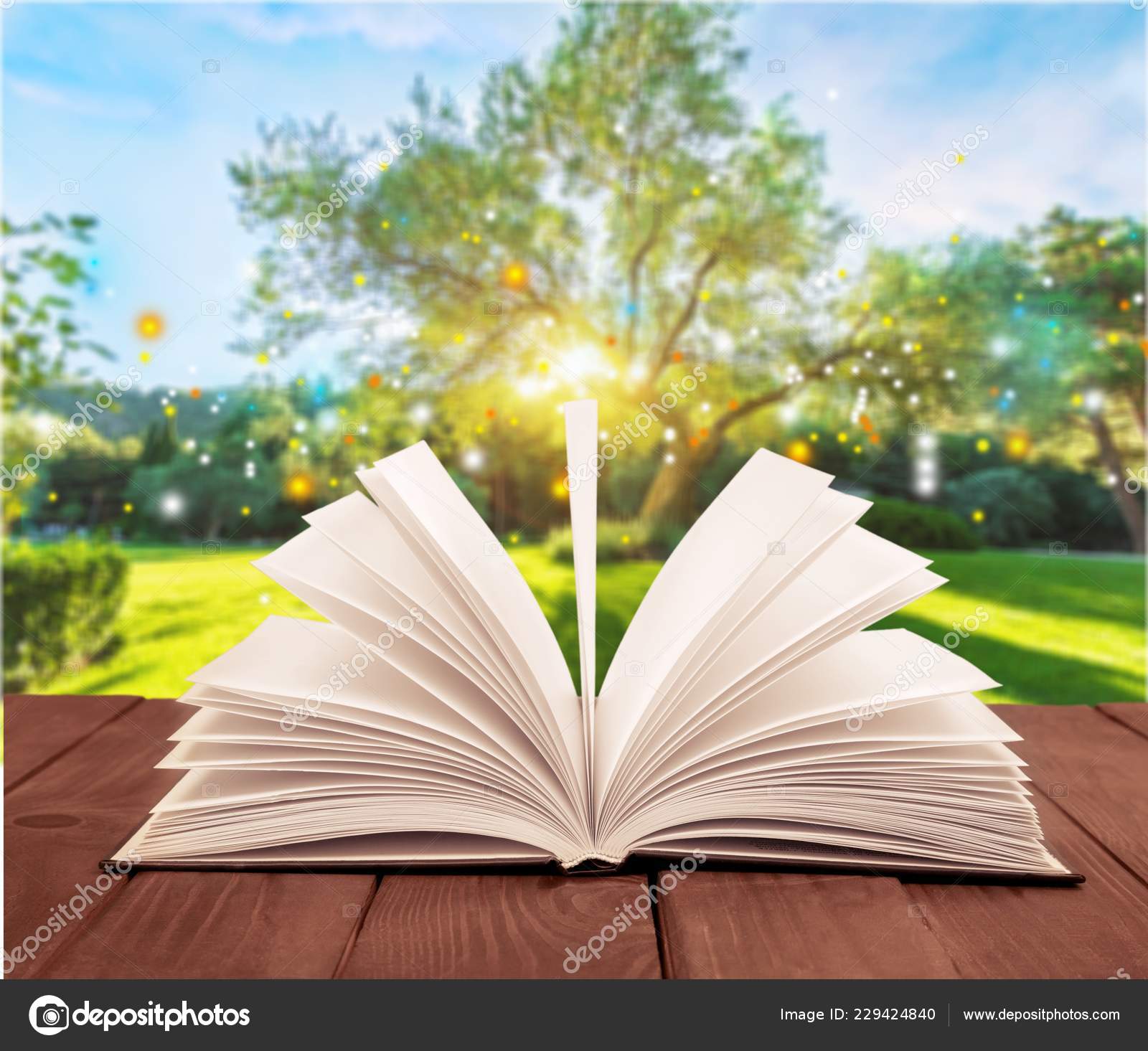Open Book Wooden Table Education Learning Concept Stock Photo by ...