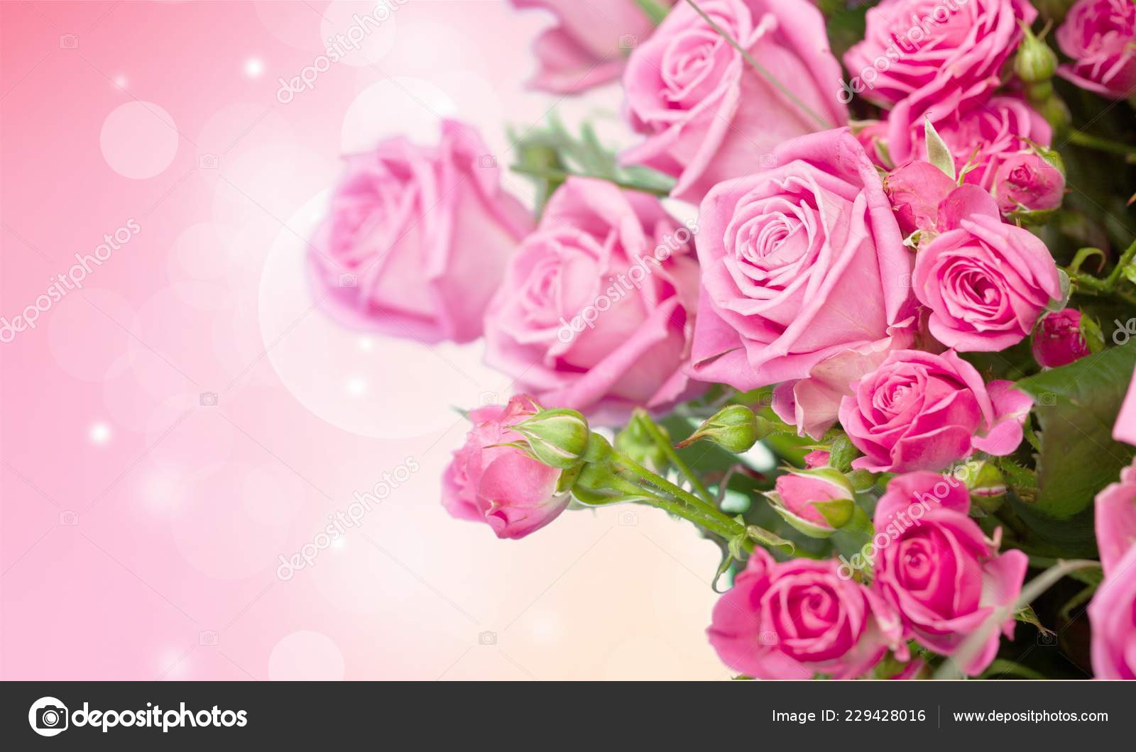 Beautiful Pink Roses Romantic Bouquet — Stock Photo © billiondigital ...