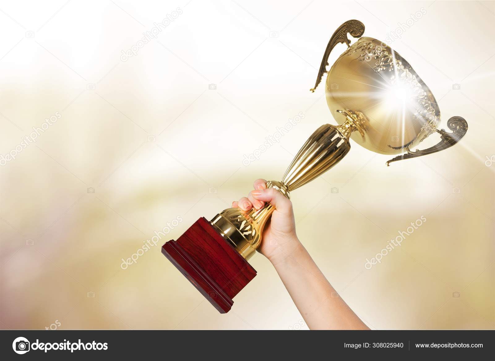 Hand Holding Golden Trophy Cup Stock Photo by ©billiondigital 308025940