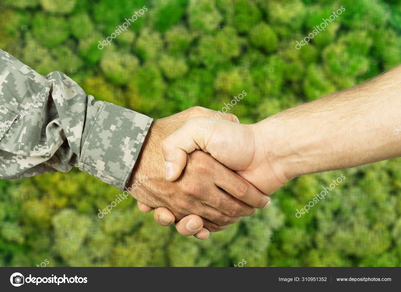 Handshake Two People Close View — Stock Photo © billiondigital #310951352