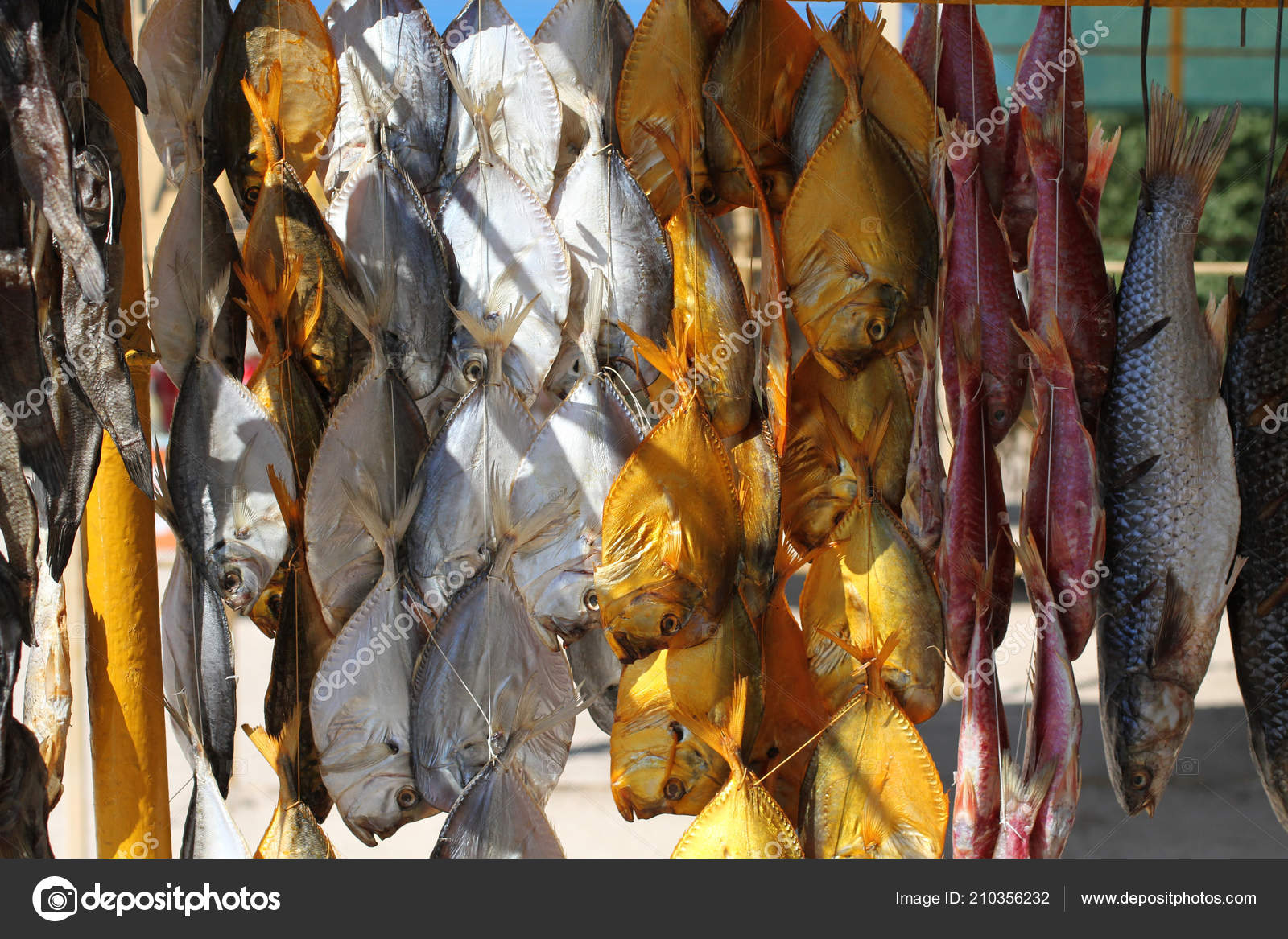 Différents Types Poisson Séché Salé Accroché Des Cordes Sur Marché ...