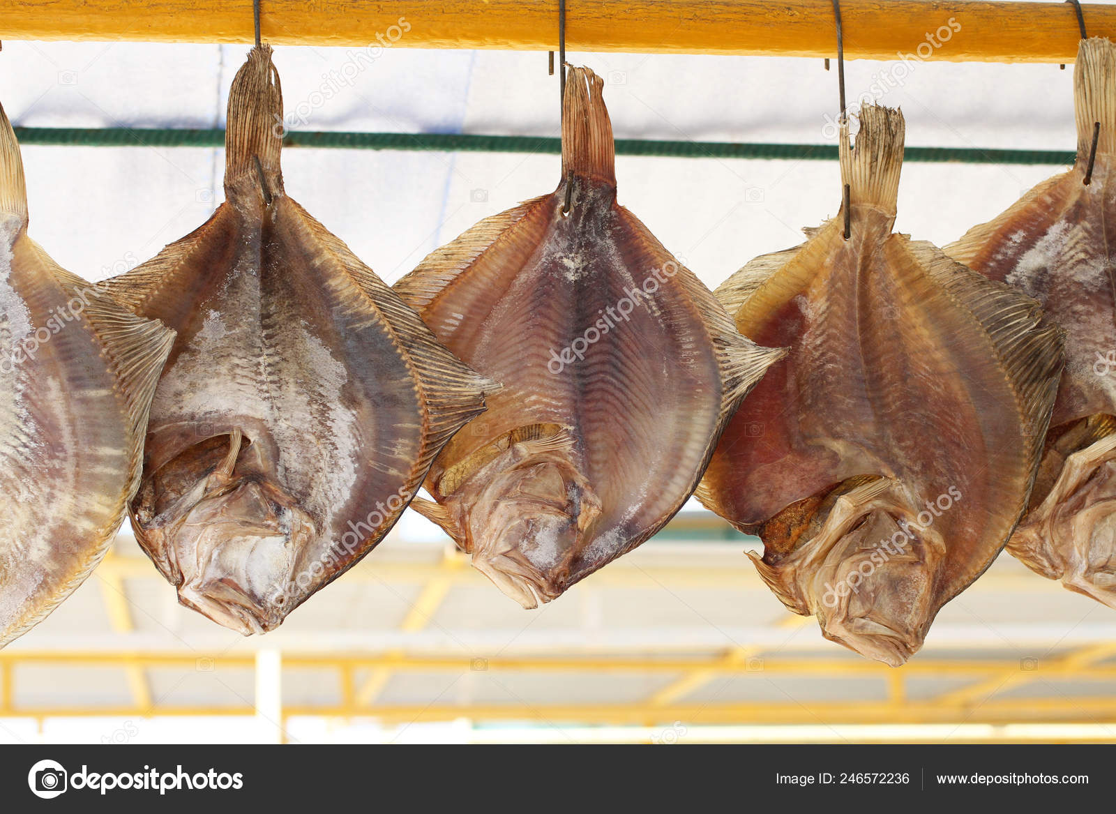 Salted Dried Kalgan Fish Hanging Ropes Street Market South Ukraine ...