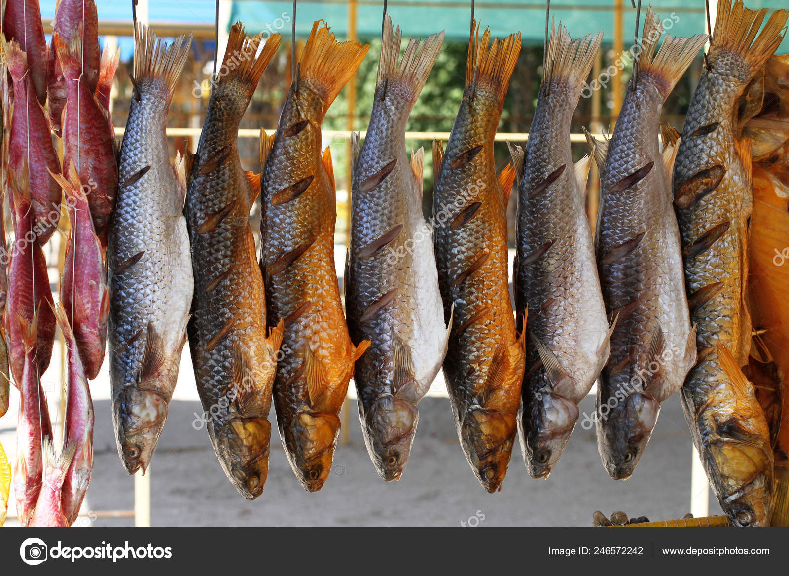 Different Types Salted Dried Fish Hanging Ropes Street Market South ...