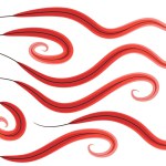 Swirly line curl patterns isolated on white background. Vector f Stock ...