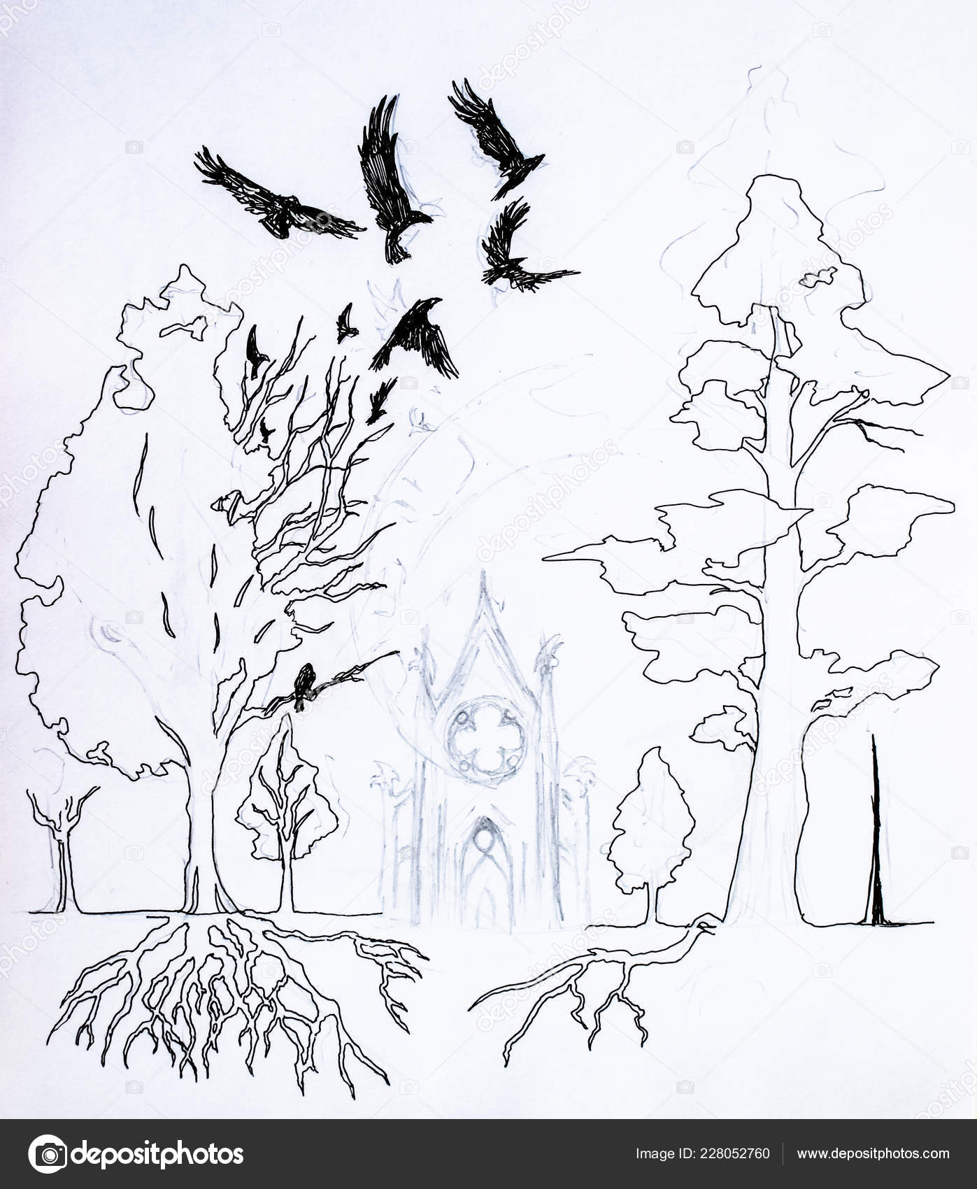 Crow flying over the forest. Roots and crown of trees in the forest ...