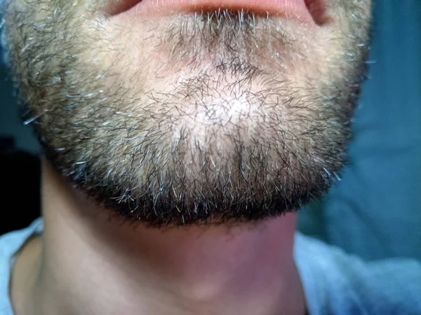 Half beard shaved Stock Photos, Royalty Free Half beard shaved Images ...