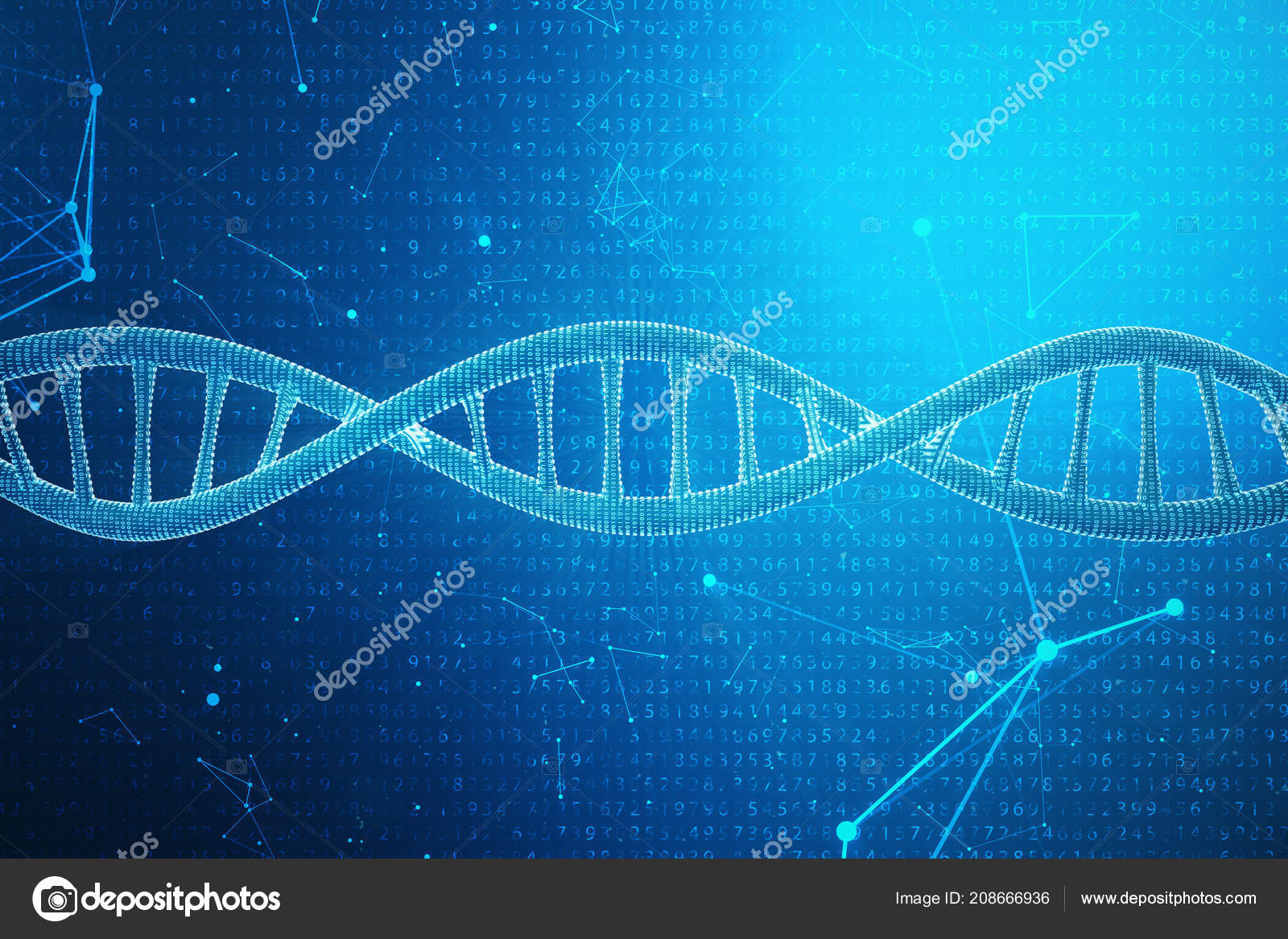 Binary Code Dna