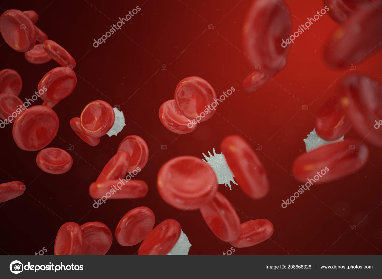 Red and white blood cells releasing neutrophils, eosinophils, basophils ...