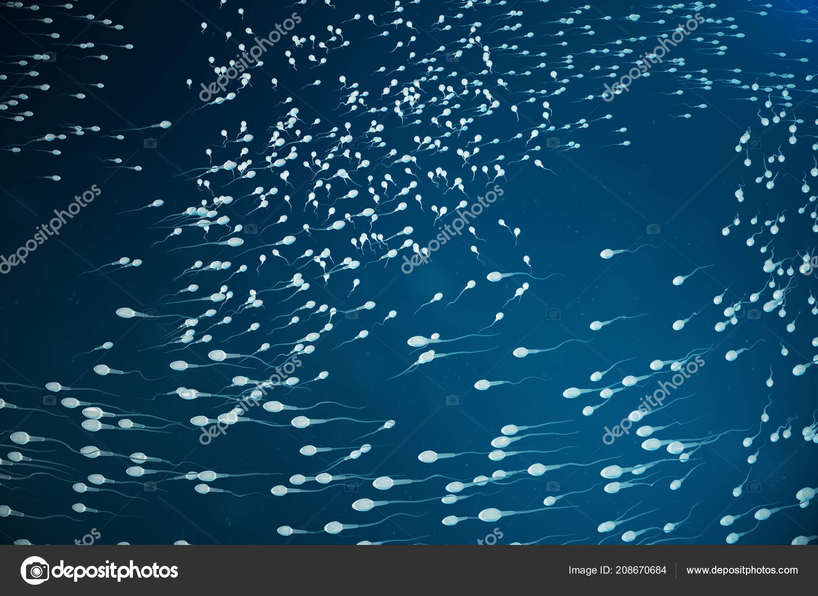 Sperm approaching egg cell, ovum. natural fertilization - close-up view ...