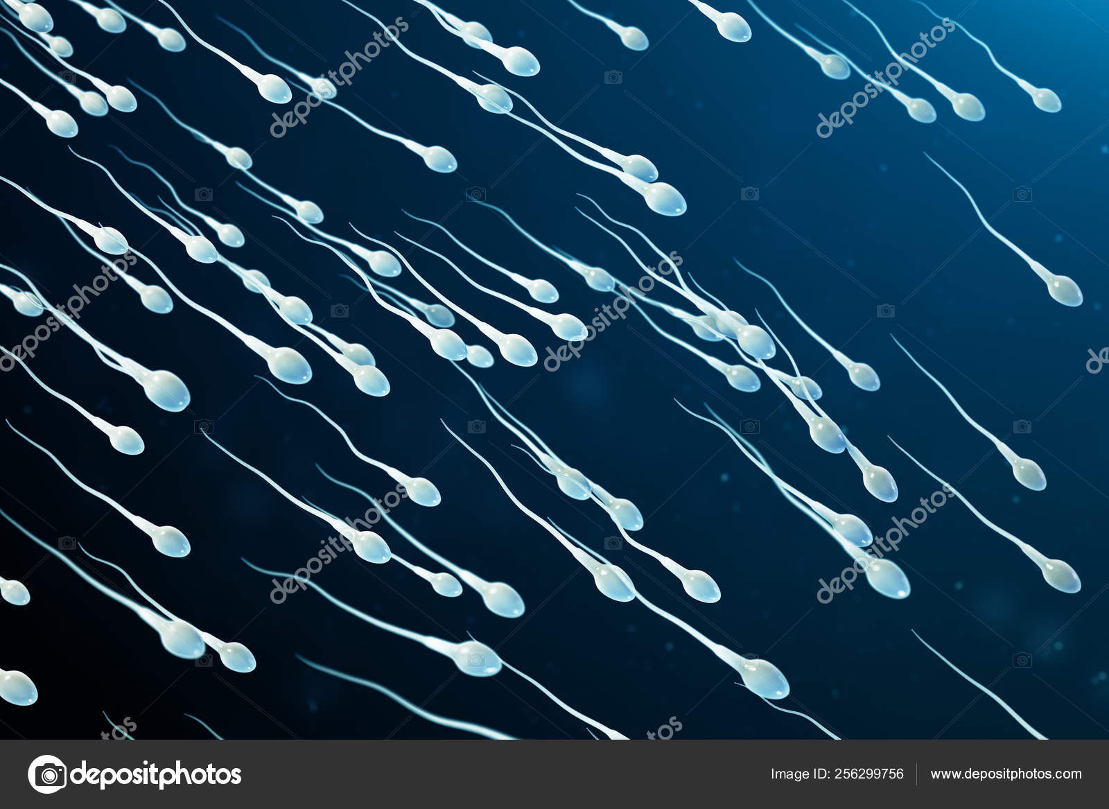 Semen Under Microscope