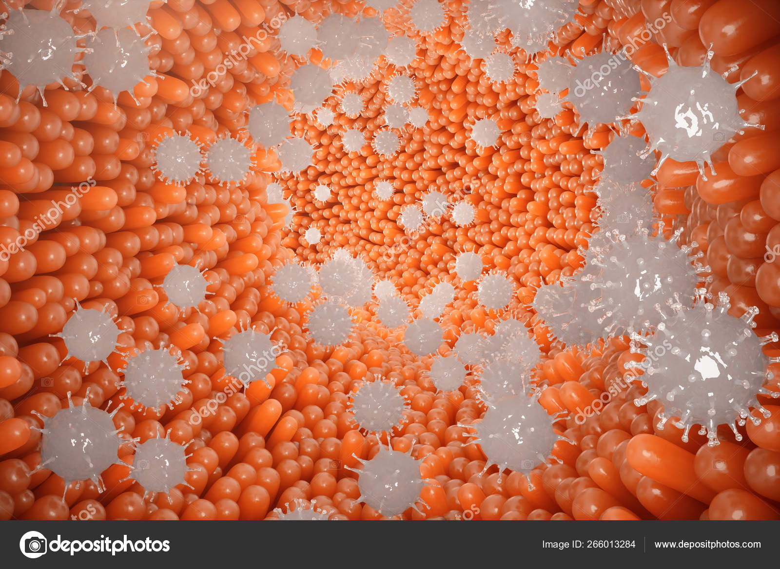 Intestinal villi, mucosa intestinal. Bacteria and microbes in ...