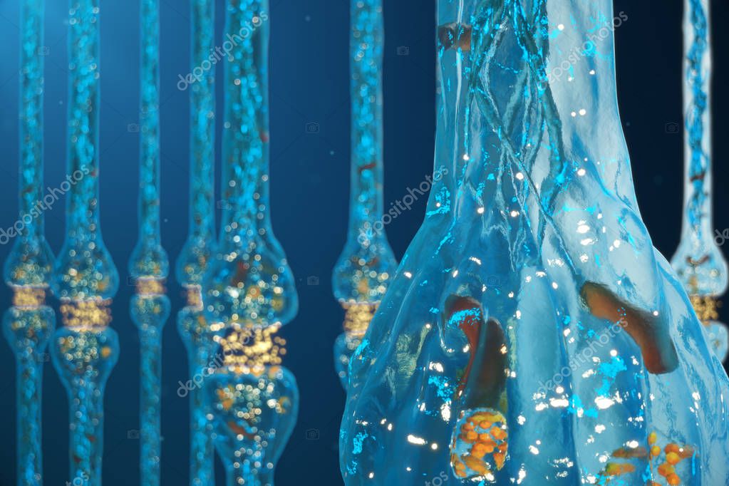 Transmisi n sin ptica, sistema nervioso humano. Concepto de conciencia. Sinapsis cerebrales ...