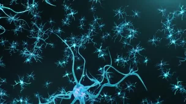 Animation neurons in the brain.Synapse and Neuron cells sending electrical chemical signals ...