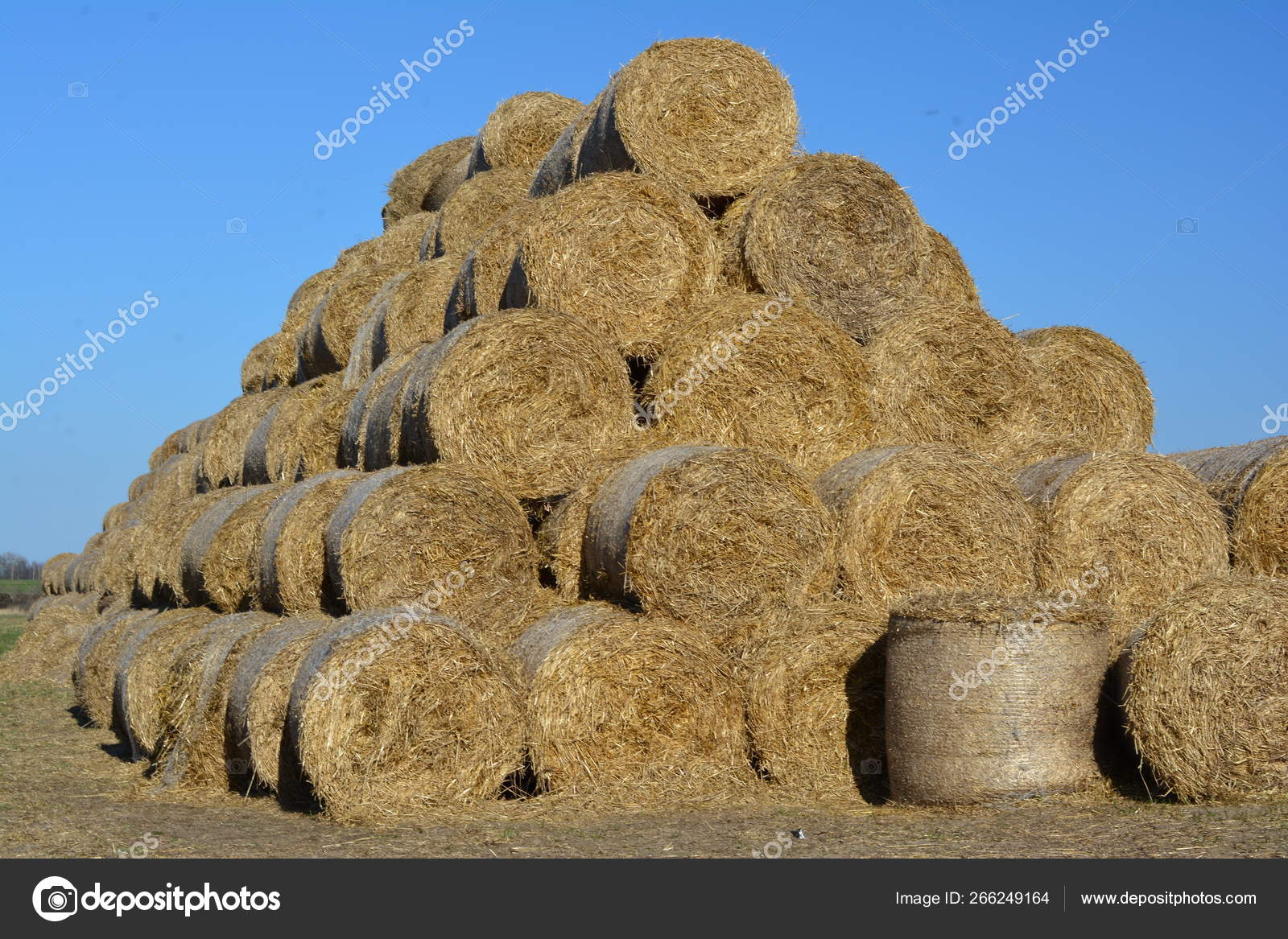 Large Haystacks Blue Sky — Free Stock Photo © mikola7771 #266249164