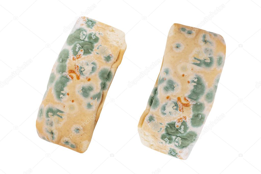 Antiguo sándwich de pan caducado con hongo, aislado sobre fondo blanco 2022