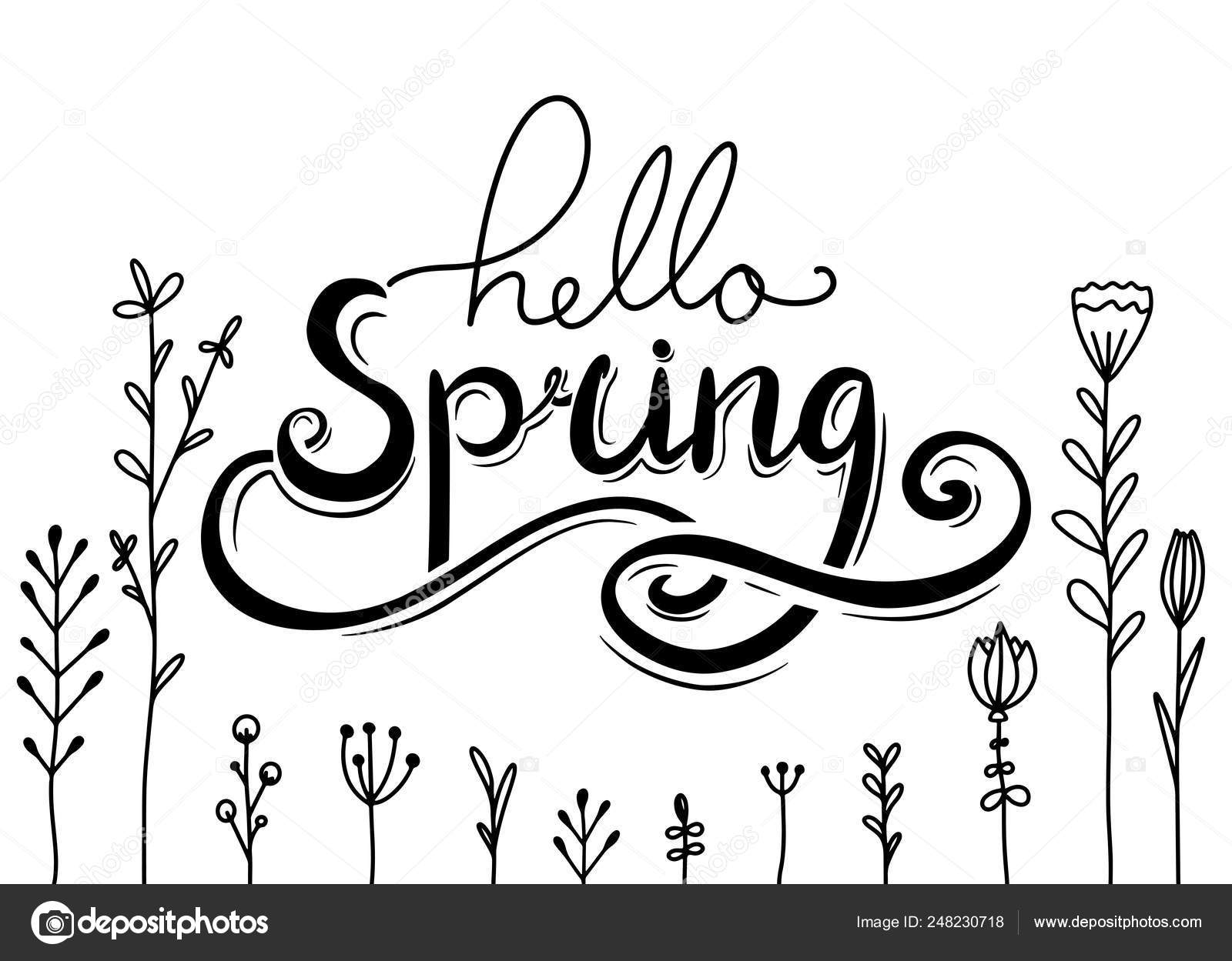 Hello Spring Lettering White Background Stock Vector by ©veleri 248230718