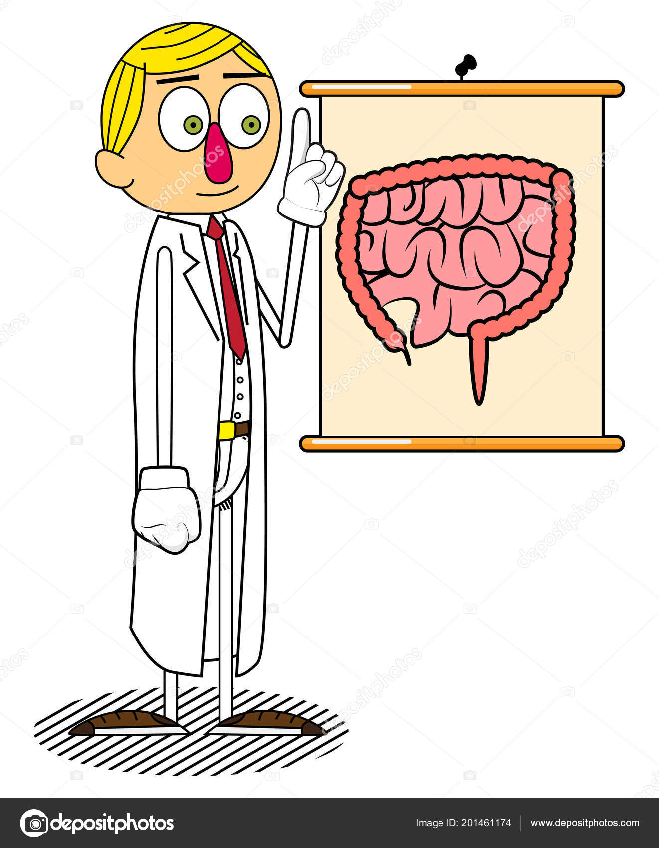 Doctor Explicando Intestino Personaje Dibujos Animados Vectorial ...