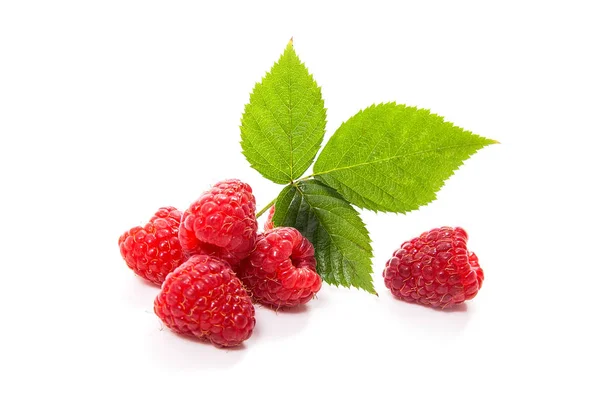 Raspberry leaves Stock Photos, Royalty Free Raspberry leaves Images ...