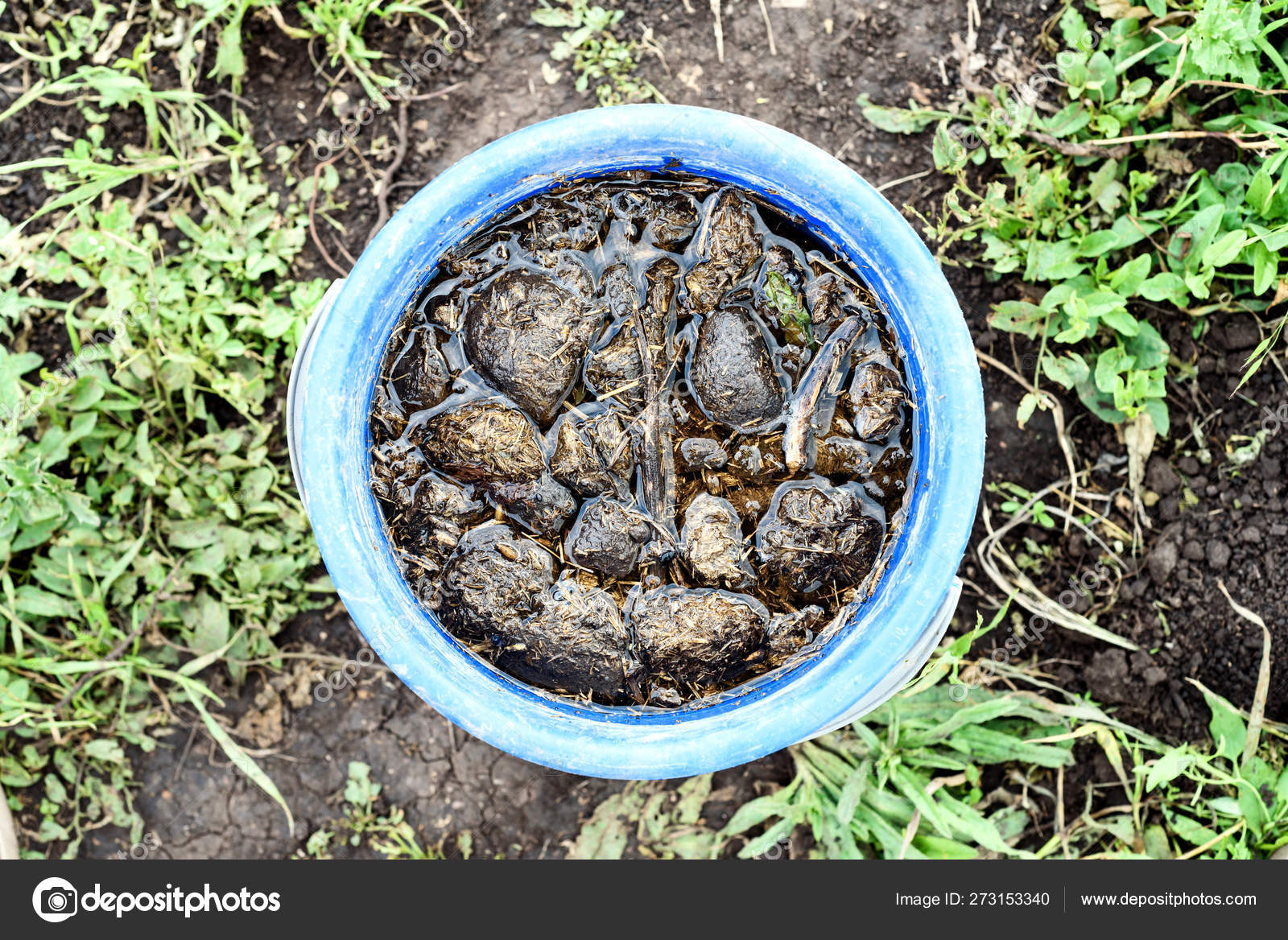 Horse Manure Tea Compost Stock Photo by ©johndwilliamsUK 273153340