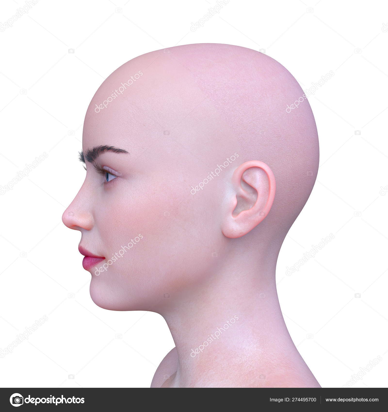 Rendering Woman's Face Stock Photo by ©TsuneoMP 274495700