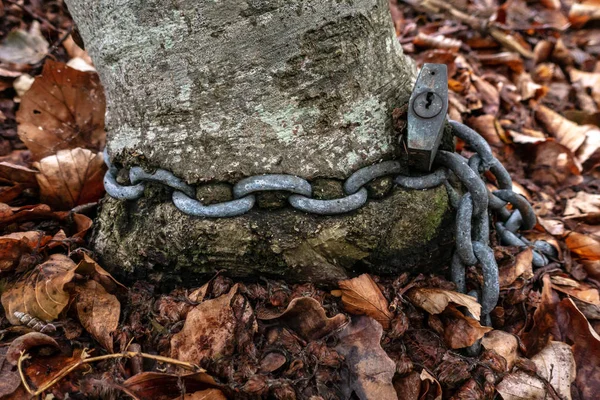 Wooden shackles Stock Photos, Royalty Free Wooden shackles Images ...