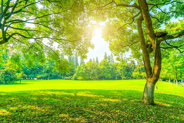 Paisaje parque fotos de stock, imágenes de Paisaje parque sin royalties ...