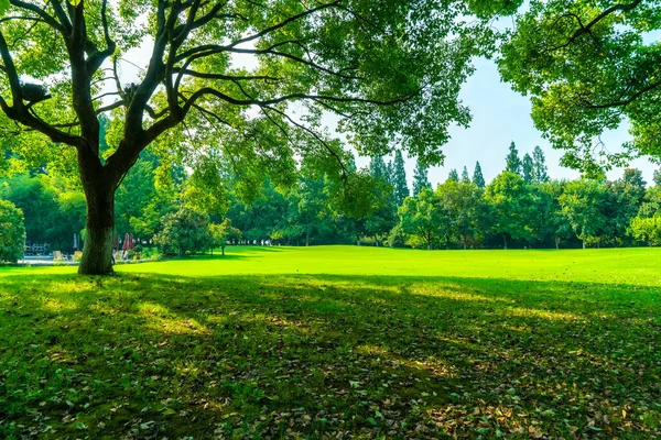 Beautiful park landscape Stock Photos, Royalty Free Beautiful park ...