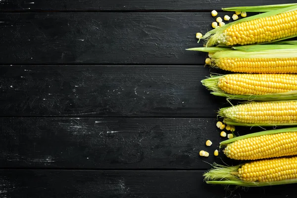 Corn Background Design