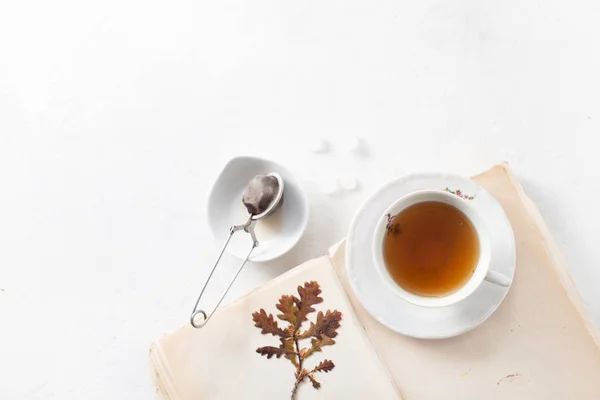 Herbal aromatic medicinal tea. A decoction of medicinal plants. Brewing ...