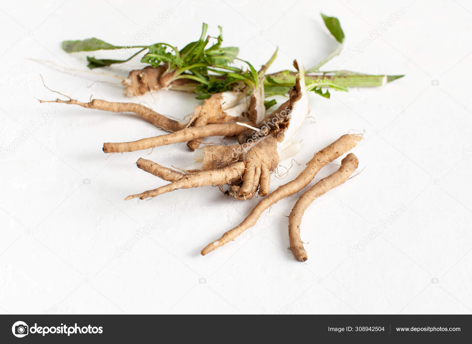 Chicory Root