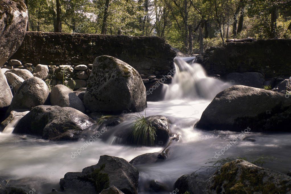 cascada sedosa de un río en el corazón de un bosque 2023
