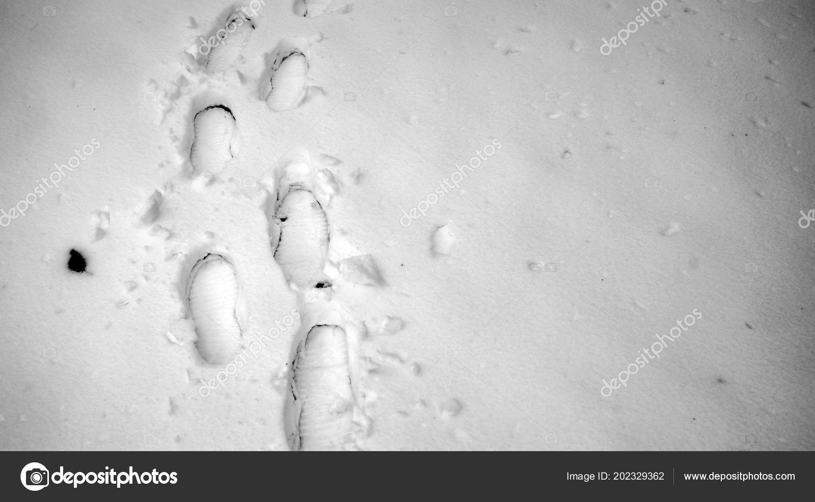 Footprints in the snow. Footprints on the first snow. Imprint an ...