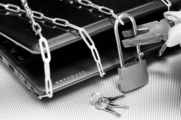 World Day without internet - Stock Image - Everypixel