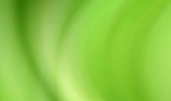 Light Green Colour Background