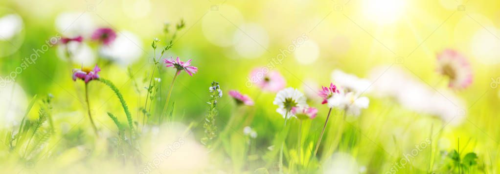 Spring ground Stock Photos, Royalty Free Spring ground Images ...