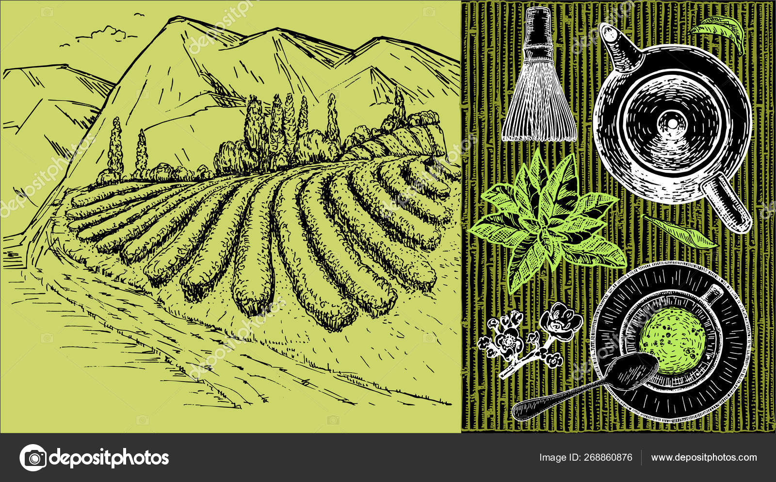 Tea Plantations Hand Drawn Tea Set Sketch Black Background Stock Vector ...