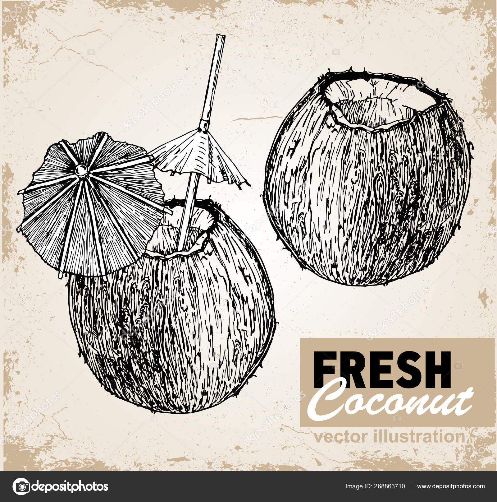 Coconut Drink Drawing