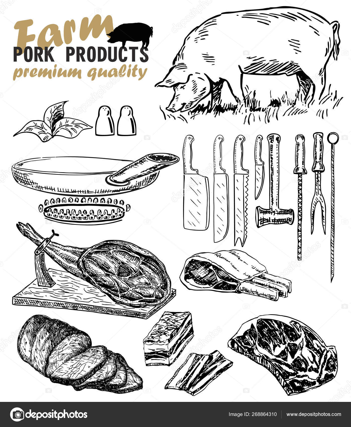 Pork Meat Drawing