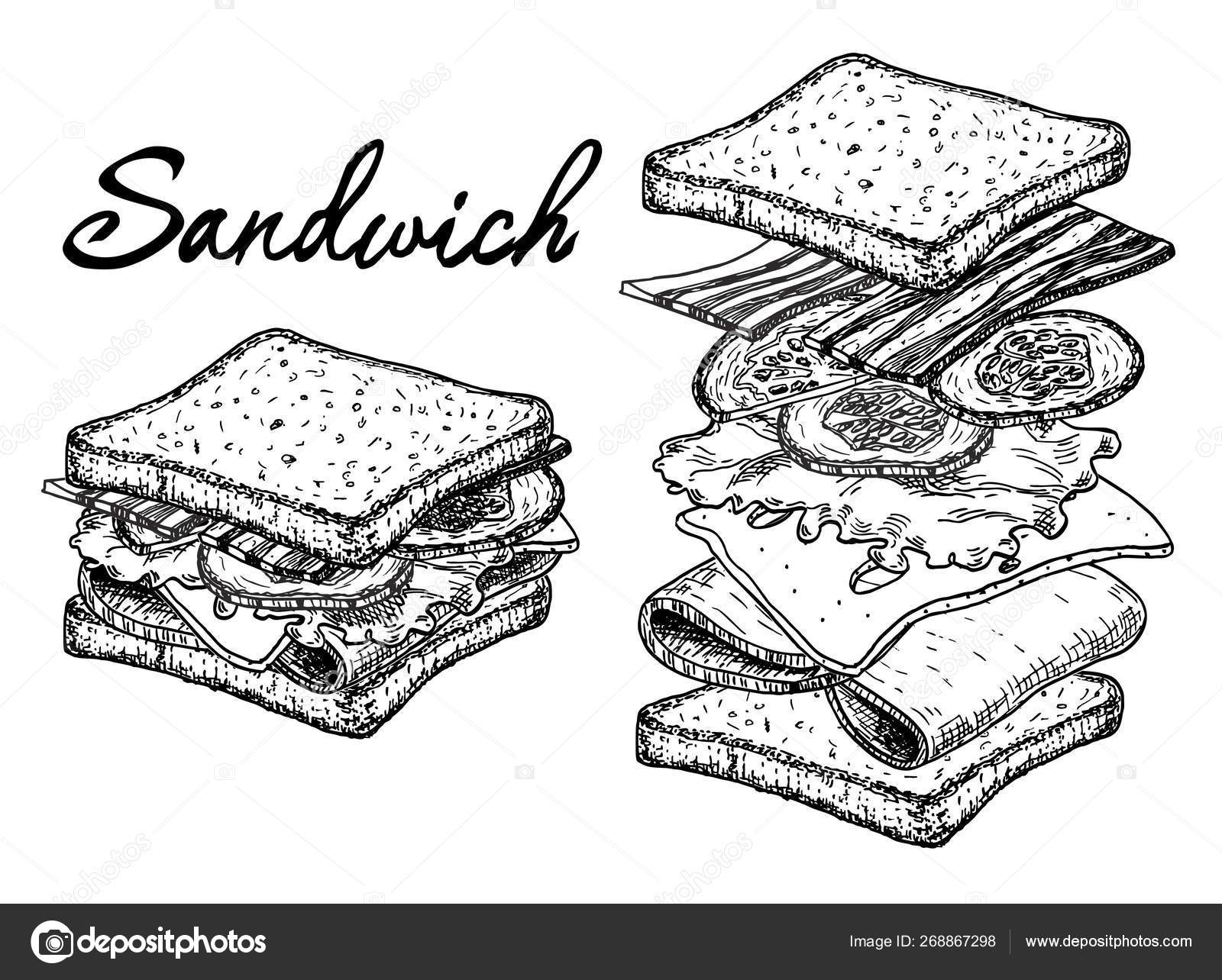 Sandwich Outline Vector
