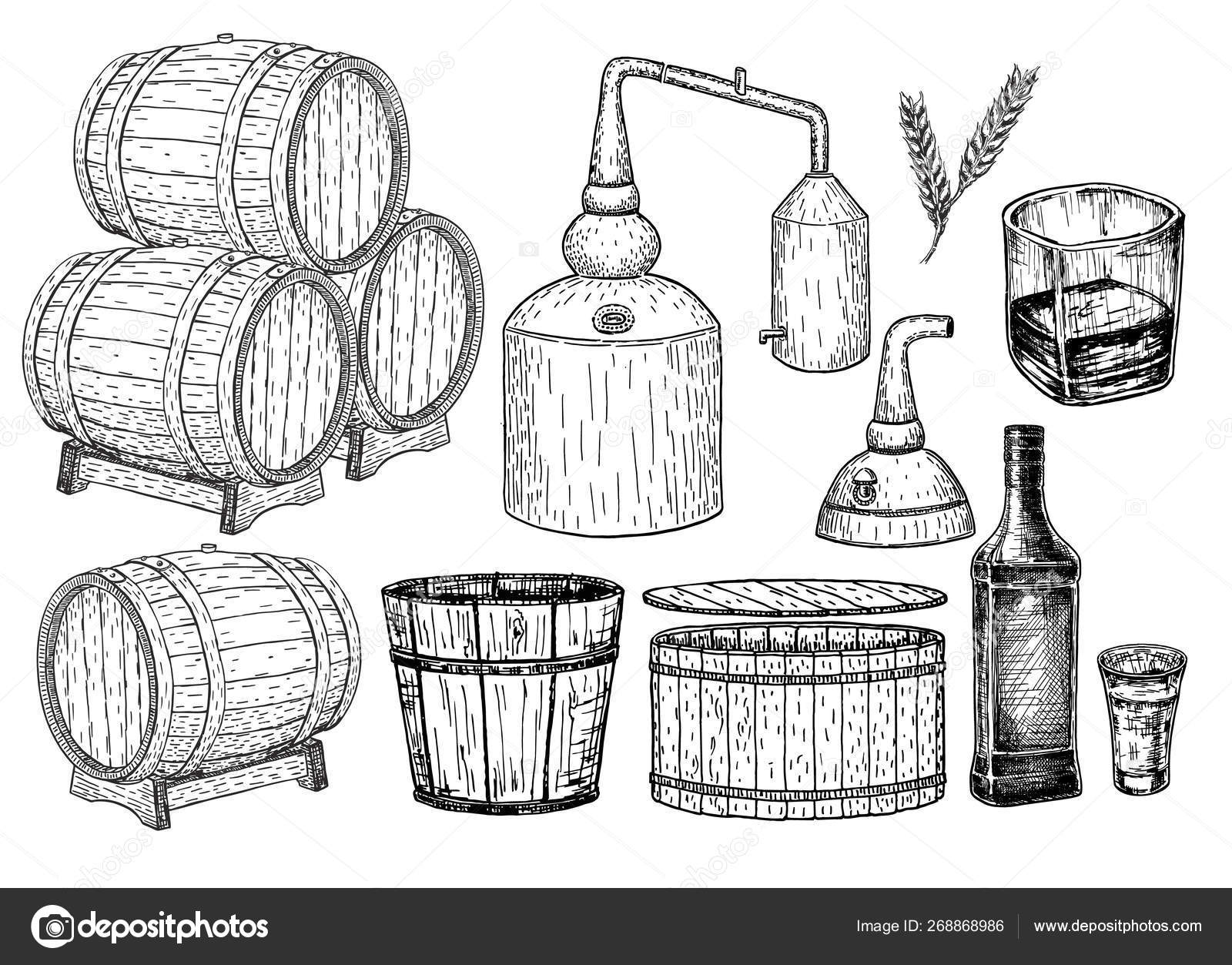 Distillery Vector Hand Drawn Whisky Production Elements Whiskey Production Process Stock Vector ...