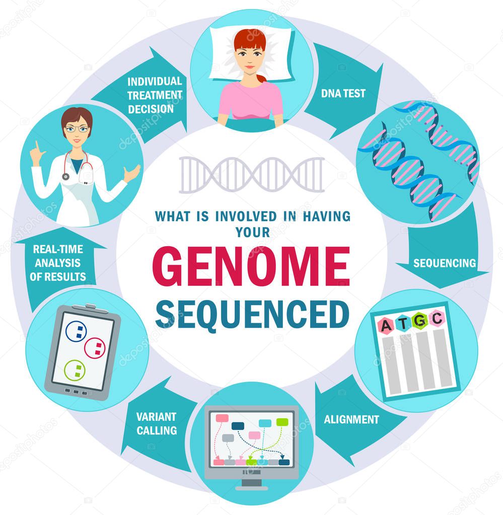 Secuenciación Del Genoma Hélice Molecular Adn Genoma Evolución Génica Medicina Vector de stock ...