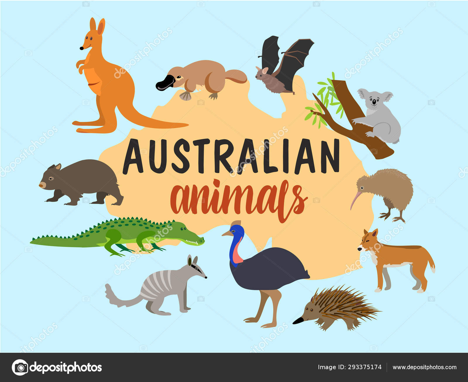 Australian Animals Banner Simply Vector Illustration Stock Vector by ...